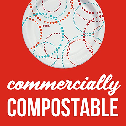 Solo Any Day Paper Plates, 8.5 Inch, Multicolor, 360 Count (Pack of 1 ...