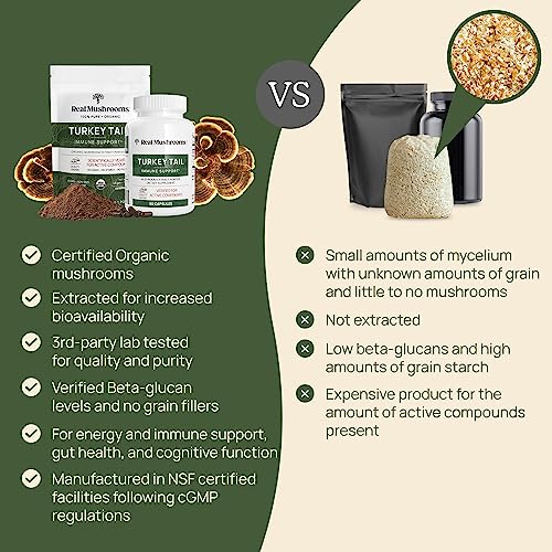 Real Turkey Tail Powder - Organic Mushroom Supplement with Potent ...