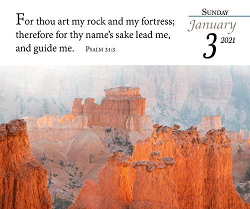 Verse For The Day Bible Verse Calendar 2021 With KJV Scripture - 365 ...