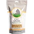 Amazon.com : Cat Grass Seeds by Perfect Plants - 1lb. Bag - Guaranteed ...
