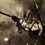 Battlefield: Bad Company 2 (Xbox 360): Amazon.co.uk: PC & Video Games