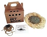 USB Pet Rock