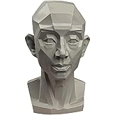Amazon.com: Generic Planar Head Model for Artists Learn Planes of Face ...