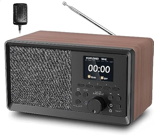 Portable Shortwave Radio, Retro Bluetooth Radio FM World Band with ...
