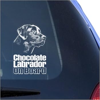 Amazon.com: Chocolate Labrador Retriever Chocolate Lab Paws and Hearts ...