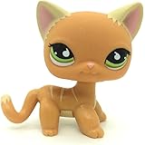 Amazon.com: Shorthair Cat #72 (Orange, Green Eyes, White Stripe on Nose ...