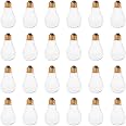 Amazon.com: Creative Hobbies 24 Pack Clear Fillable Plastic Light Bulbs ...