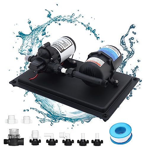 AUHO RV Water Pump 12 Volt DC 4.0 GPM 45PSI with 0.75L 125PSI Pre ...