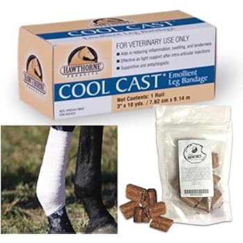 Amazon.com : Cool Cast Poultice Wrap : Horse Bandages : Pet Supplies