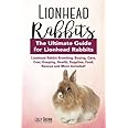Lionhead Rabbits: Lionhead Rabbit Breeding, Buying, Care, Cost, Keeping ...