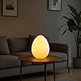 Mr.Go 11-Inch LED Egg Lamp with Remote - Color-Changing, Cordless ...