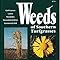 Weeds of Southern Turfgrasses (Golf Courses, Lawns, Roadsides ...