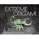 Extreme Origami: Transforming Dollar Bills into Priceless Works of Art ...