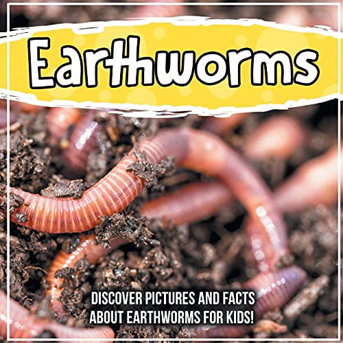 Earthworms: Discover Pictures and Facts About Earthworms For Kids ...