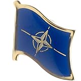 Amazon.com: Flagline NATO - Friendship Lapel Pin: Toys & Games