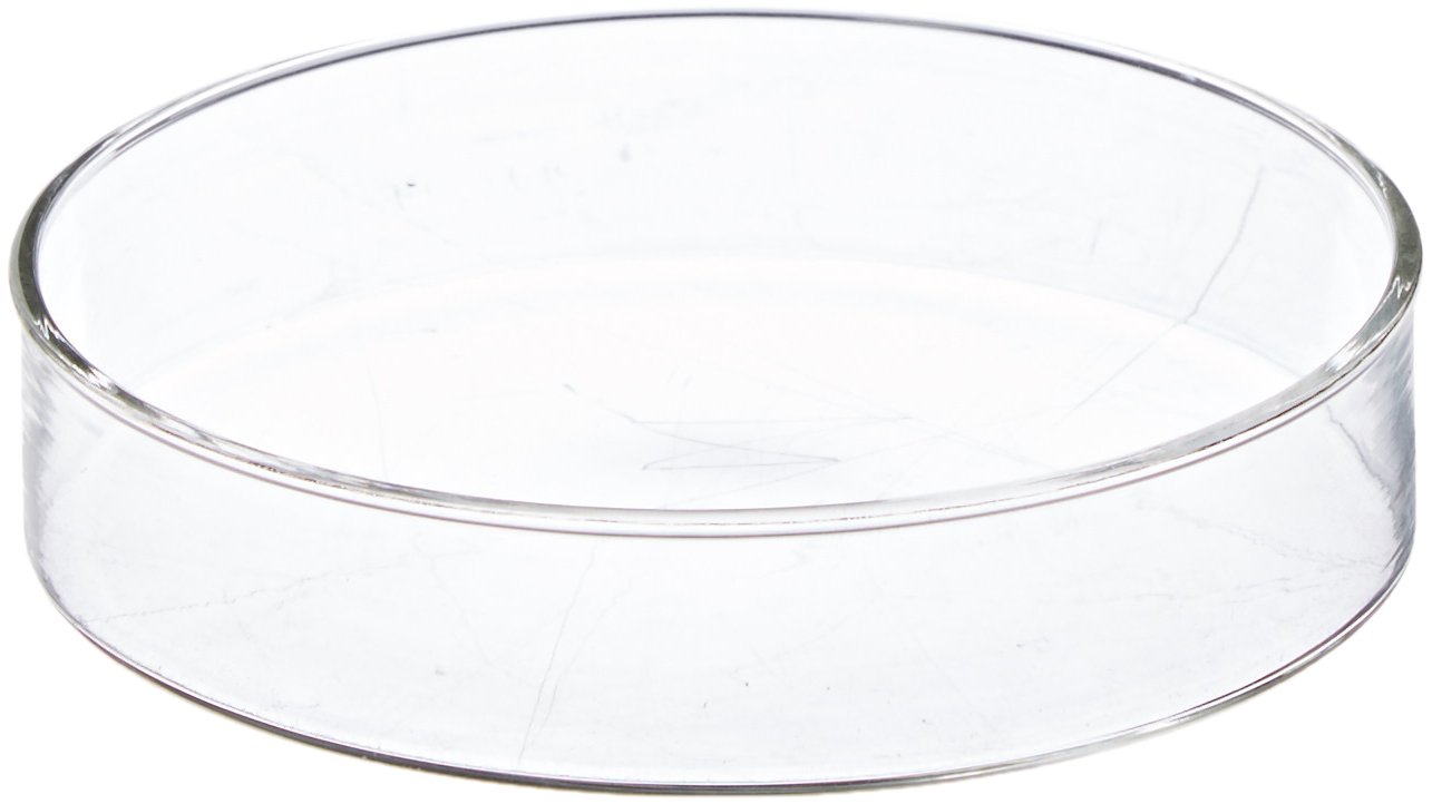 Clear United Scientific G1075 Borosilicate Glass Petri Dish Pack Of 10