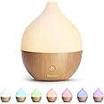 Amazon.com : SALKING Essential Oil Diffuser, 100ml Small Aromatherapy ...