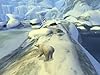 Amazon.com: Arctic Tale - Nintendo Wii: Artist Not Provided: Video Games