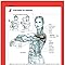 Strength Training Anatomy: Delavier, Frederic: 8601419494439: Books ...