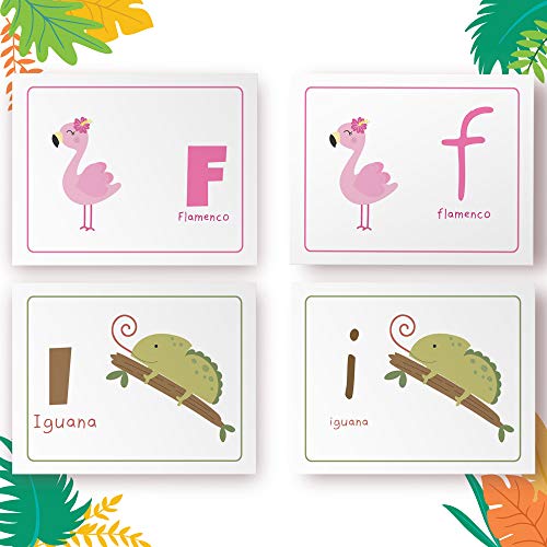 Spanish Animal 123 and ABC Flash Cards for Babies, Toddlers, Pre-K ...