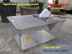 Amazon.com : Lab Animal Cages Transparent Polycarbonate for Rat/Mice ...