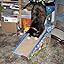 Amazon.com : Cosmic Alpine Scratcher : Scratching Pads : Pet Supplies