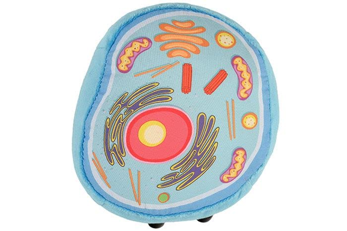 GIANTmicrobes Animal Cell Plush - Learn About Cell Biology And Life ...