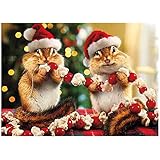 Amazon.com : Avanti Christmas Cards, Cats and Cookies, 10-Count : Blank ...