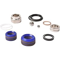 Amazon.com : 244194 Pump Repair Packing Kit Compatible with Graco ...