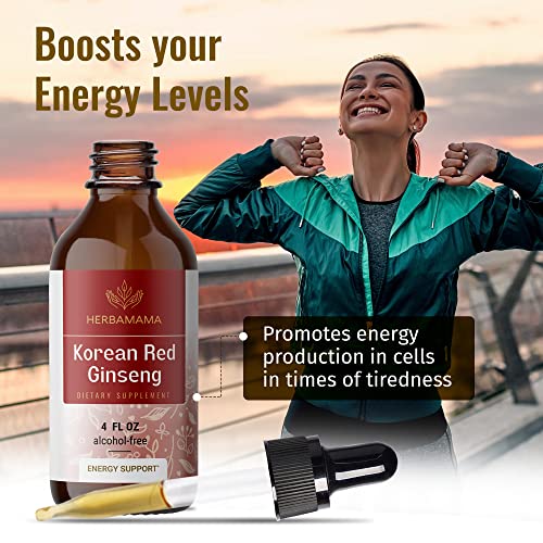 Ginseng Liquid Extract - Korean Red Ginseng Drops - Panax Ginseng Root ...