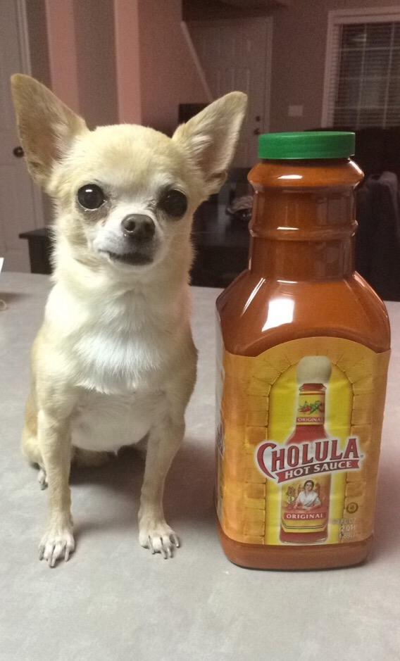 Absolute Unit of Cholula : r/AbsoluteUnits