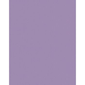Amazon.com : BAZIC 22" X 28" Purple Poster Board (Case of 25 ...