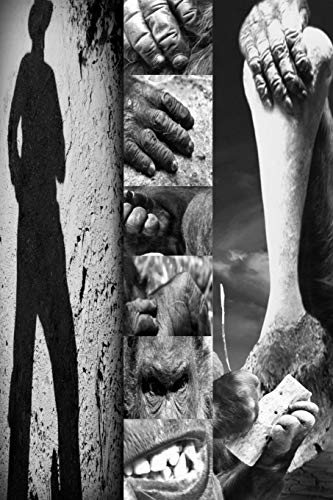 Bigfoot Sightings Journal: Investigators field guide, the complete ...