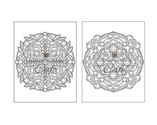 Gemstone Mandalas: An Adult Coloring Book Featuring the World's Most ...