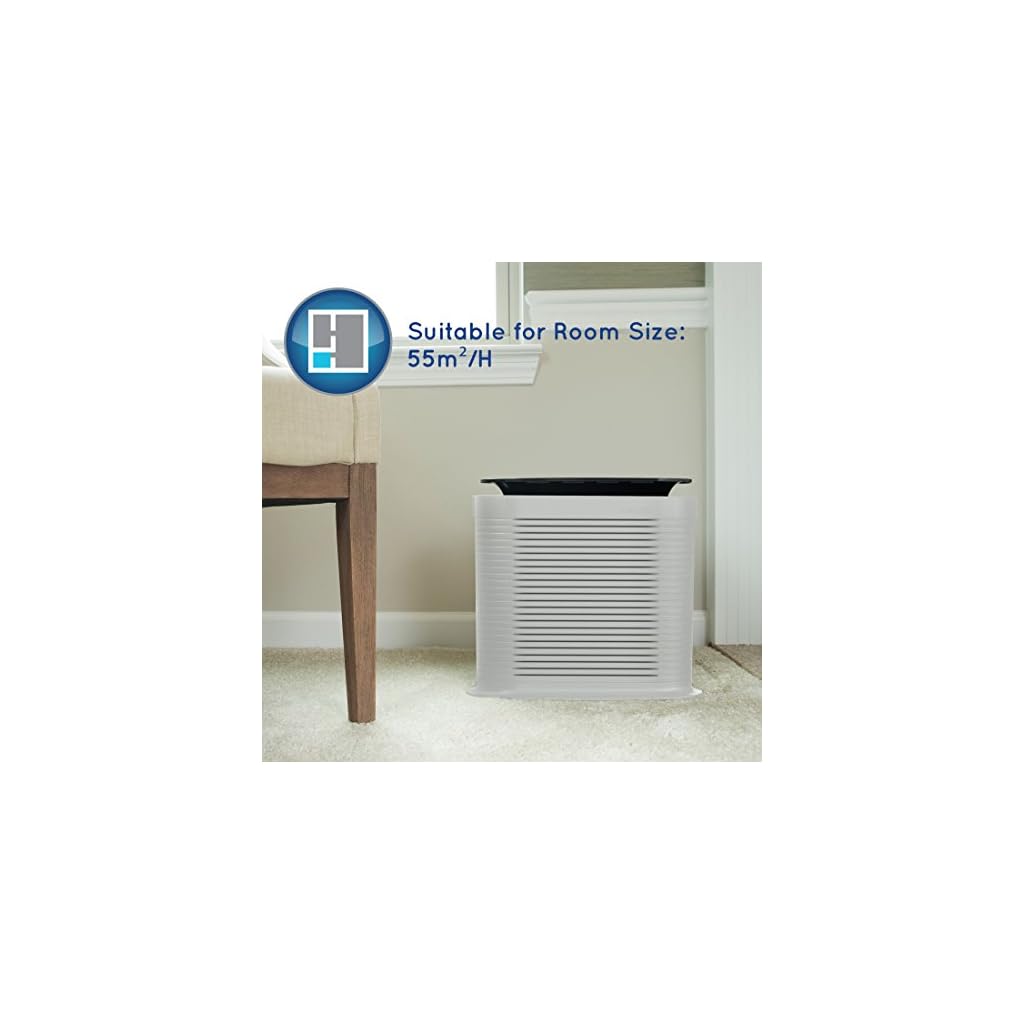 HoMedics HEPA Air Purifier Fan, Keeps Air Fresh, Protects from Allergy ...