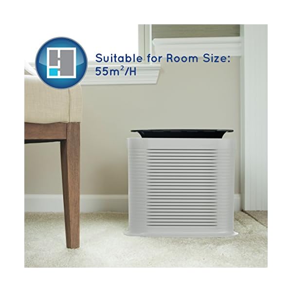 HoMedics HEPA Air Purifier Fan, Keeps Air Fresh, Protects from Allergy ...