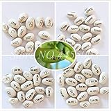 Magic Beans That Sprout With Secret Messages!