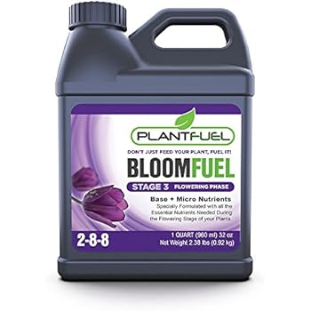 Amazon.com : Green Light 97002 Super Bloom - 2 lb : Fertilizers ...
