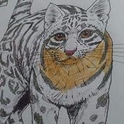 Wild Cats of the World Coloring Book (Dover Nature Coloring Book): John ...