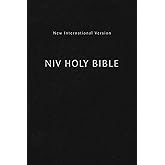 NIV, Holy Bible, Compact, Paperback, Burgundy, Comfort Print: Zondervan: 9780310461241: Amazon ...