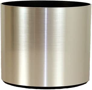 Amazon.com : Unique Planters Plastic, Indoor Plant Pot with Chrome ...