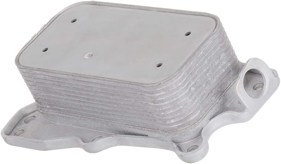 Amazon.com: ROADFAR Engine Oil Cooler Compatible for 2006-2007 for ...