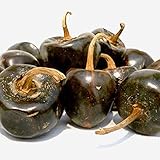 Cascabel Pepper: Shake, Rattle, And Roll - PepperScale