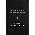 What We See When We Read: Mendelsund, Peter: 9780804171632: Amazon.com ...