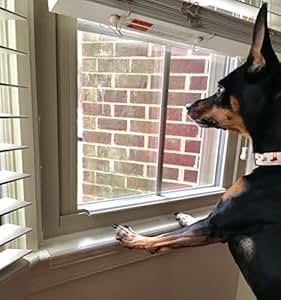 Amazon.com : Clear Pet Window Sill Protector - Guards Against Dog Claws ...