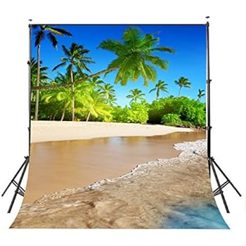 Amazon.com : Tropical Beach Background - Photography Backdrop - Great ...