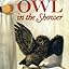 There's an Owl in the Shower: Jean Craighead George, Christine Herman ...