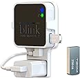 Amazon.com: 256GB Blink USB Flash Drive for Local Video Storage with The Blink Sync Module 2 ...