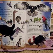 First Animal Encyclopedia (Dk First Reference): DK Publishing ...