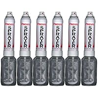 Preval 267 Spray Gun - Auto Body Spray Guns - Amazon.com